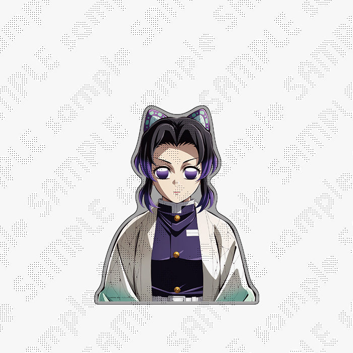 Demon Slayer -Kimetsu no Yaiba- Hashira Event Opening Project, Hashira