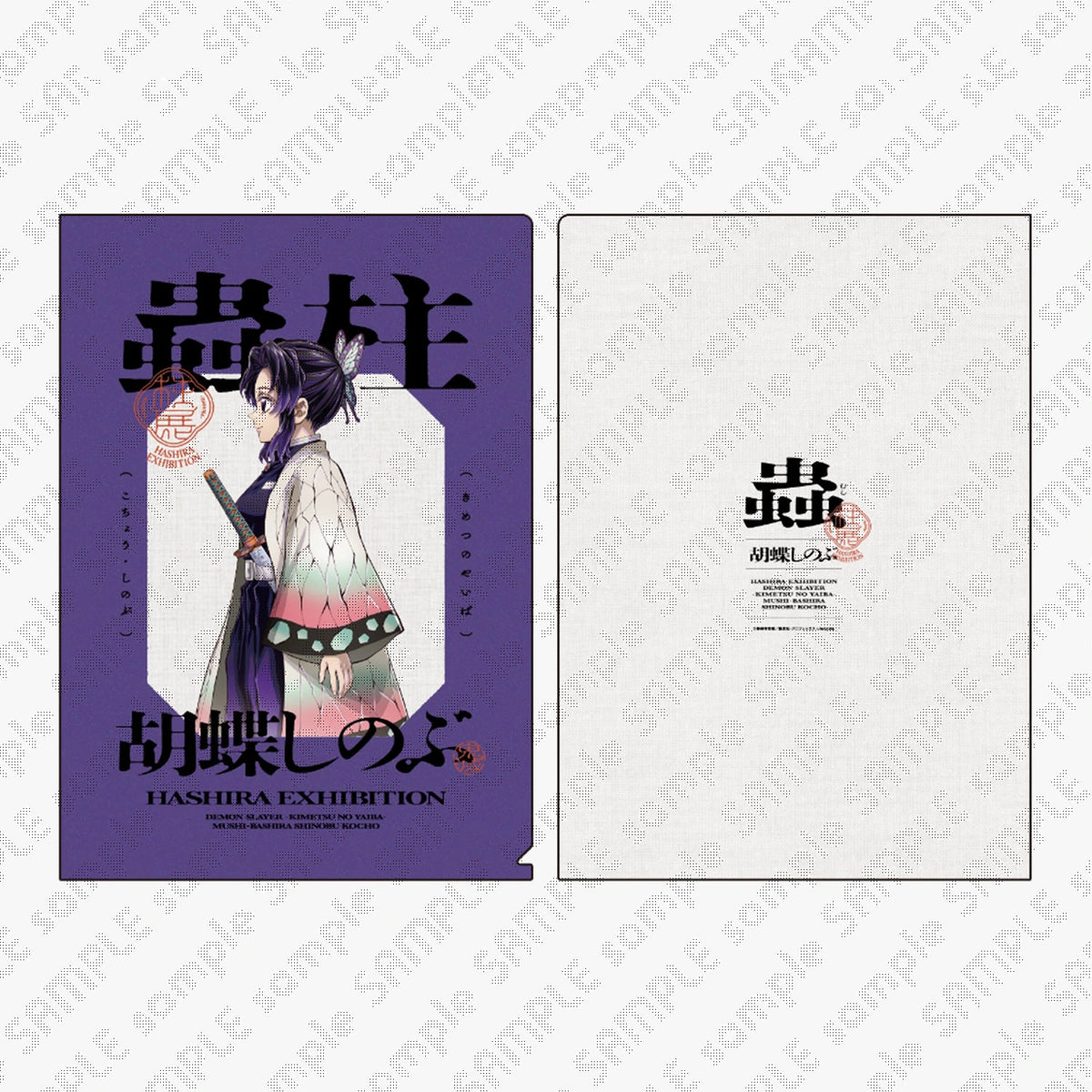 Side View Visual A4 Clear File Folder(10 Type), Demon Slayer -Kimetsu